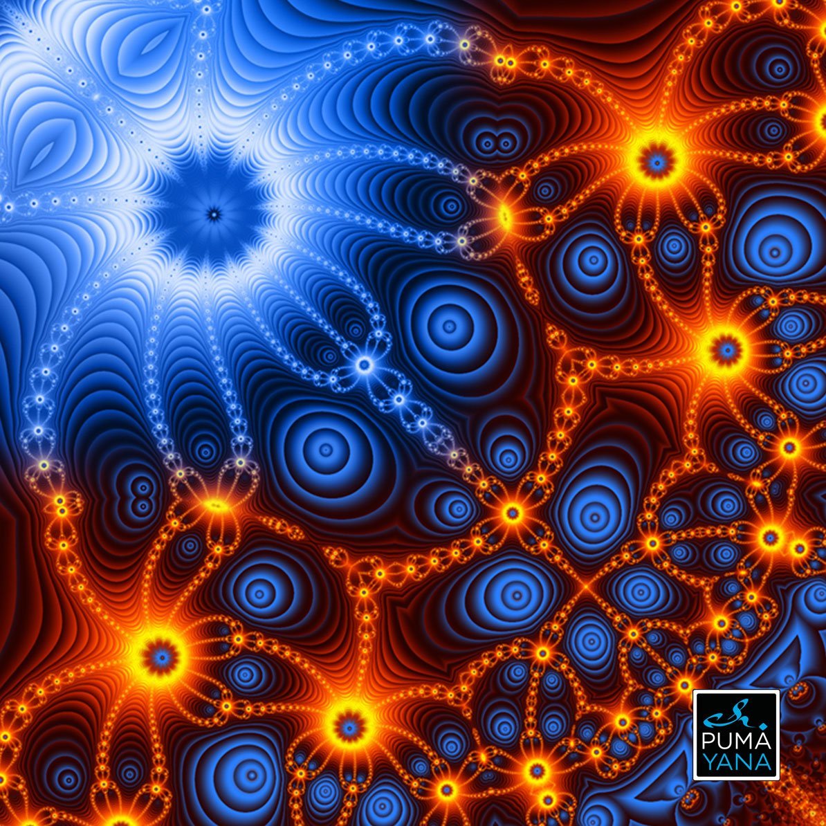 Cactivated DNA Psychedelic Mandala Art Print | Canvas | Shamanic Art ...